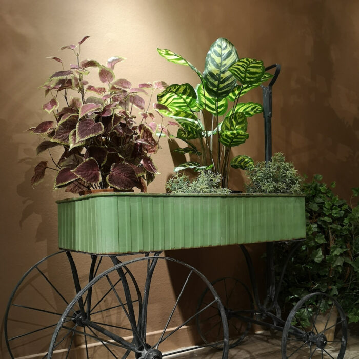 Floral Plants & Greeneries - UCP Group